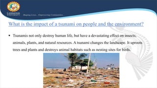 Tsunami | PPTX