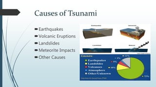 Tsunami Presentation | PPT