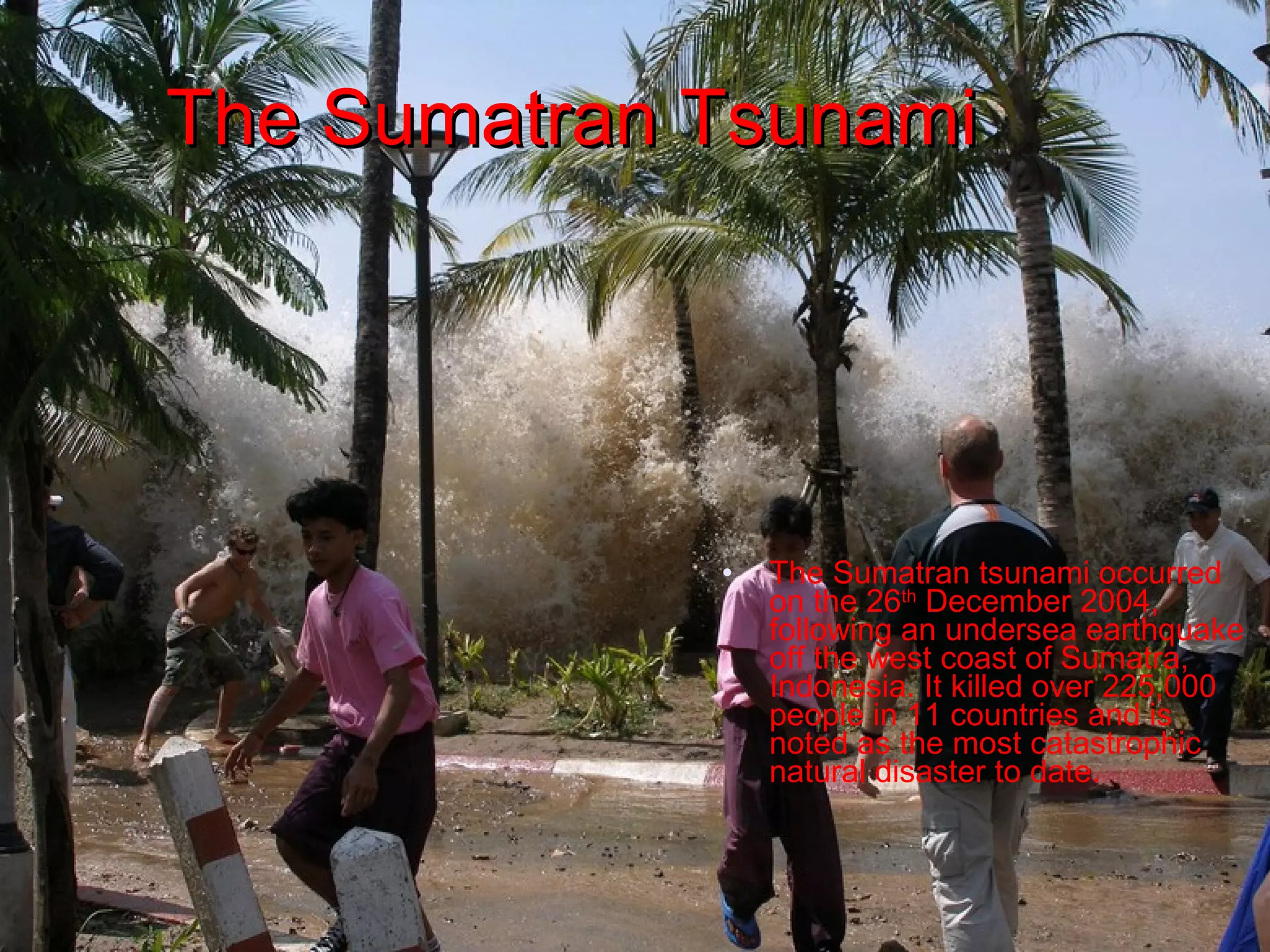 Tsunami | PPT