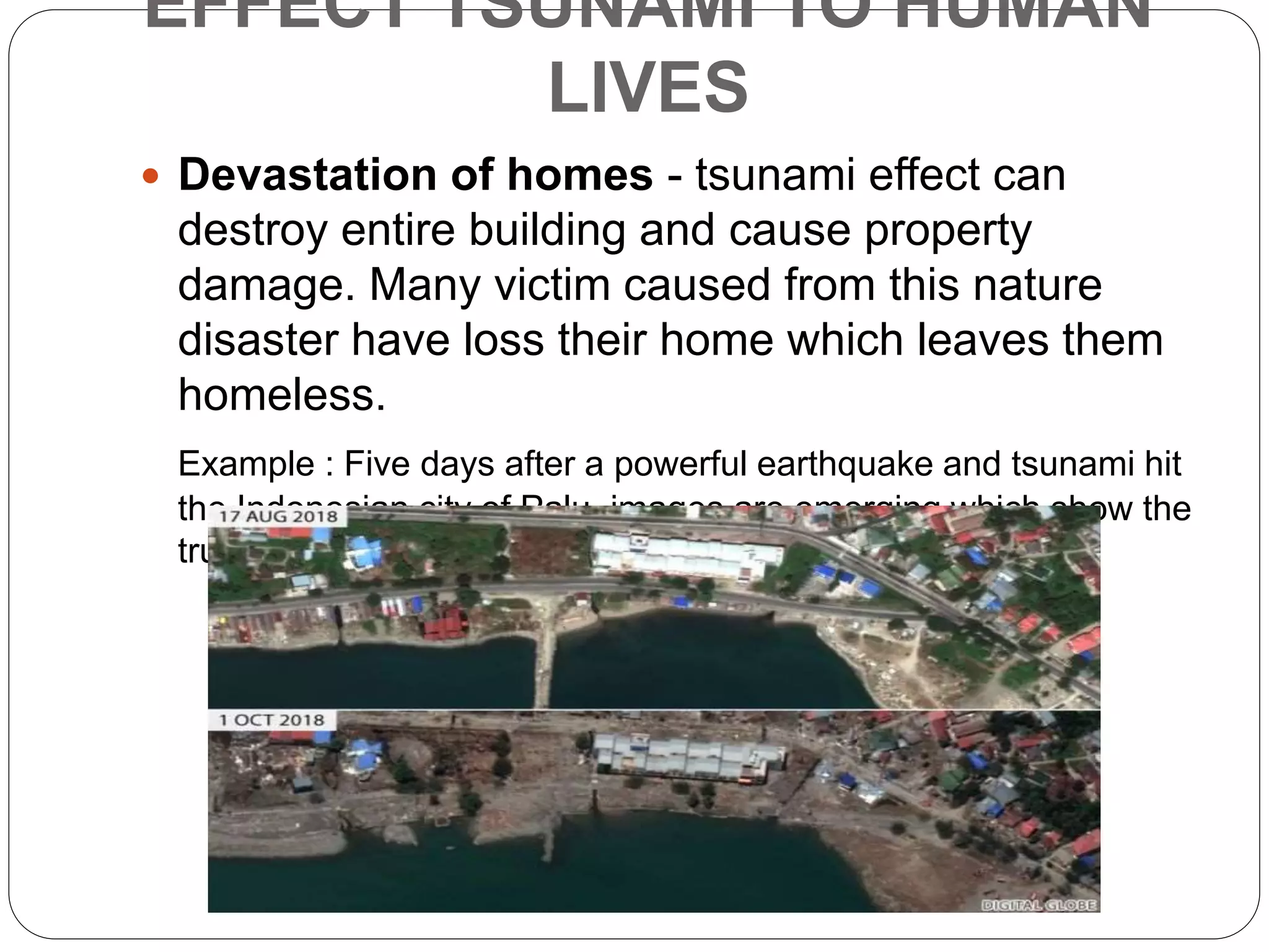 Tsunami | PPTX | Geology | Science