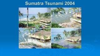 Tsunami Sources.pptx