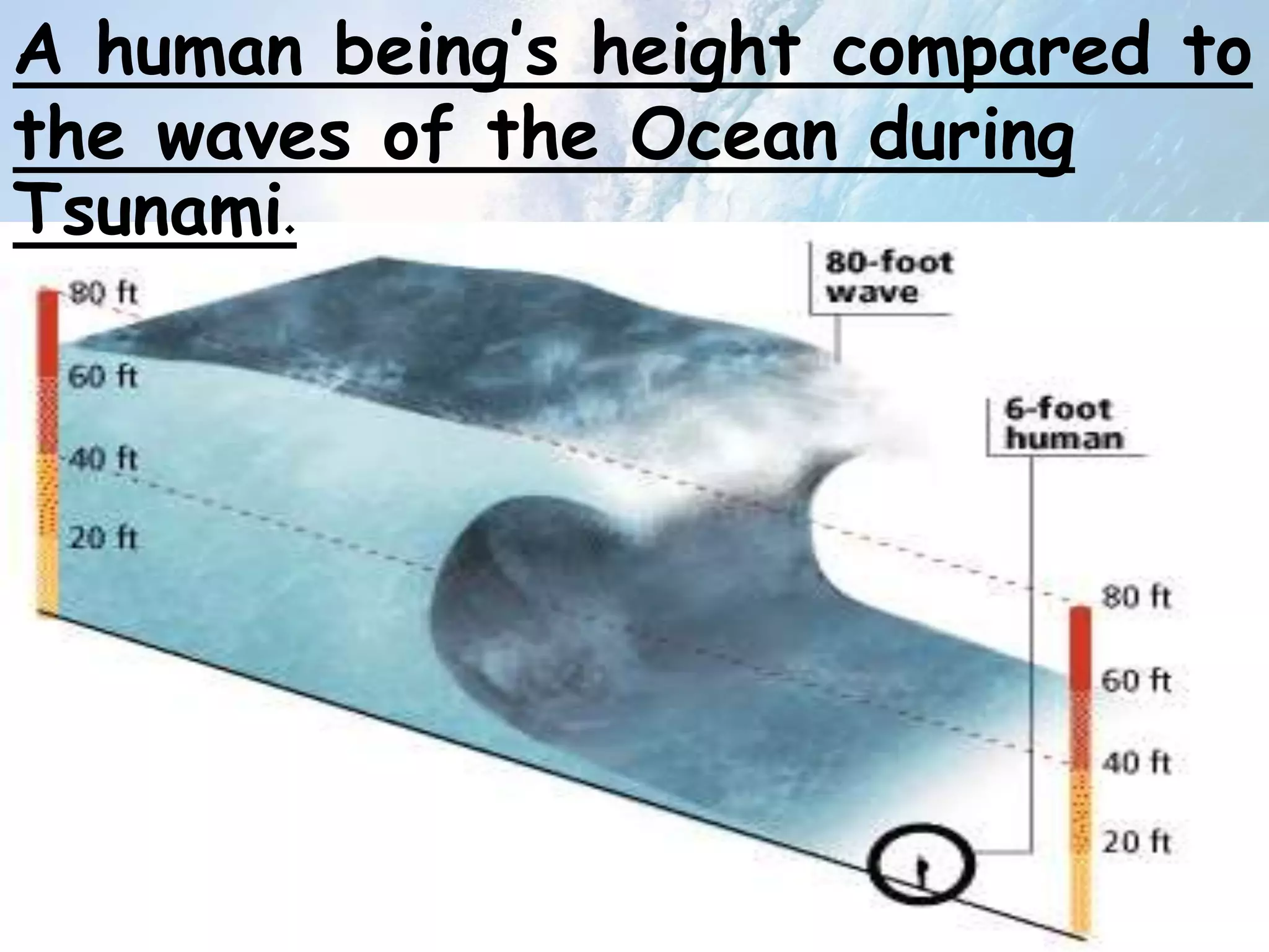 Tsunami – the killer sea wave | PPTX