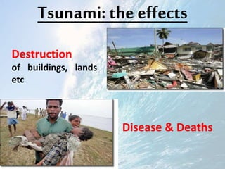 Tsunami – the killer sea wave | PPTX