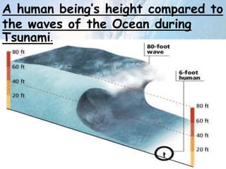 Tsunami – the killer sea wave | PPT