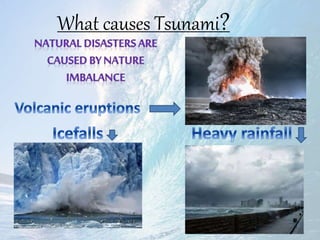 Tsunami – the killer sea wave | PPT