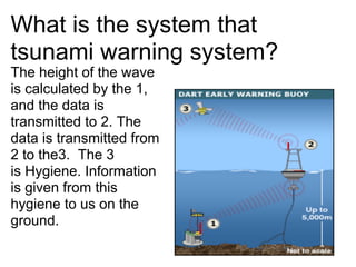 Tsunami warning system | PDF