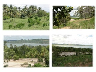 Tsunza peninsula plots for SAle in Mombasa Kenya, a great real estate ...