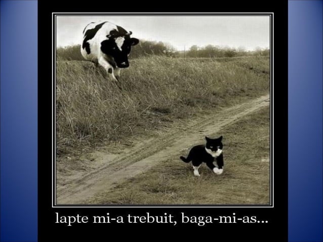 T super imagini | PPS