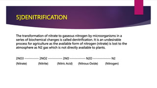 Nitrogen Cycle And It's Importance In Nature.pptx