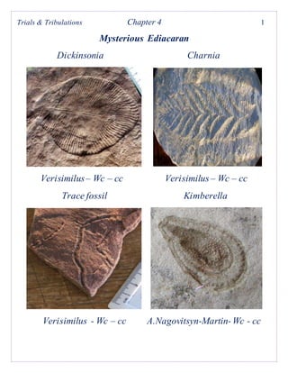 Trials and Tribulations chapter 4 Ediacaran period