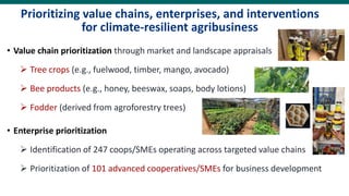 Climate-resilient agribusiness in Rwanda: Impact through the ...