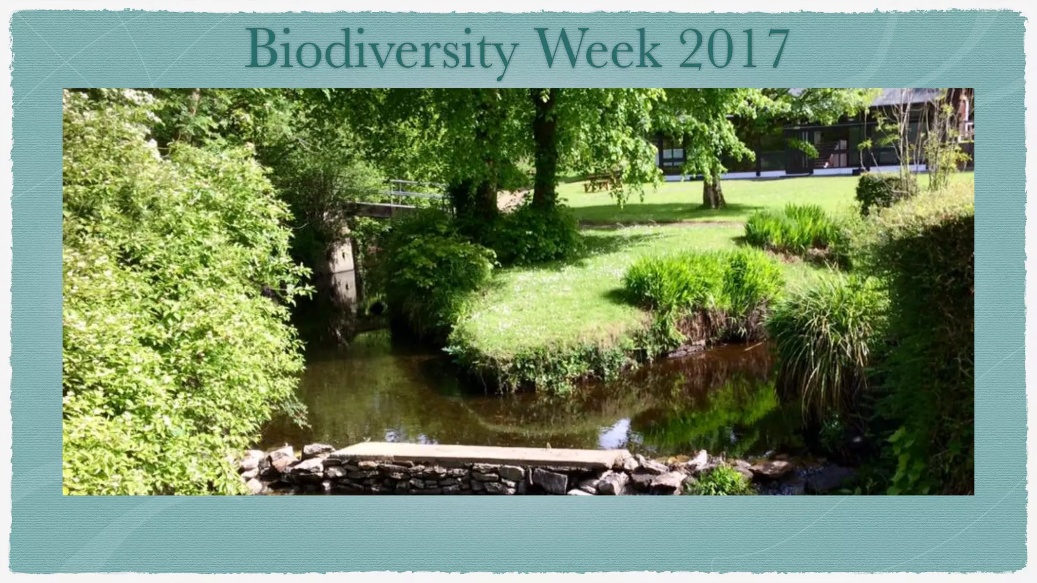 Biodiversity week 2021 | PPT