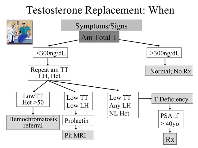 Dr. Paul Turek: Male Hypogonadism and Testosterone | PPT