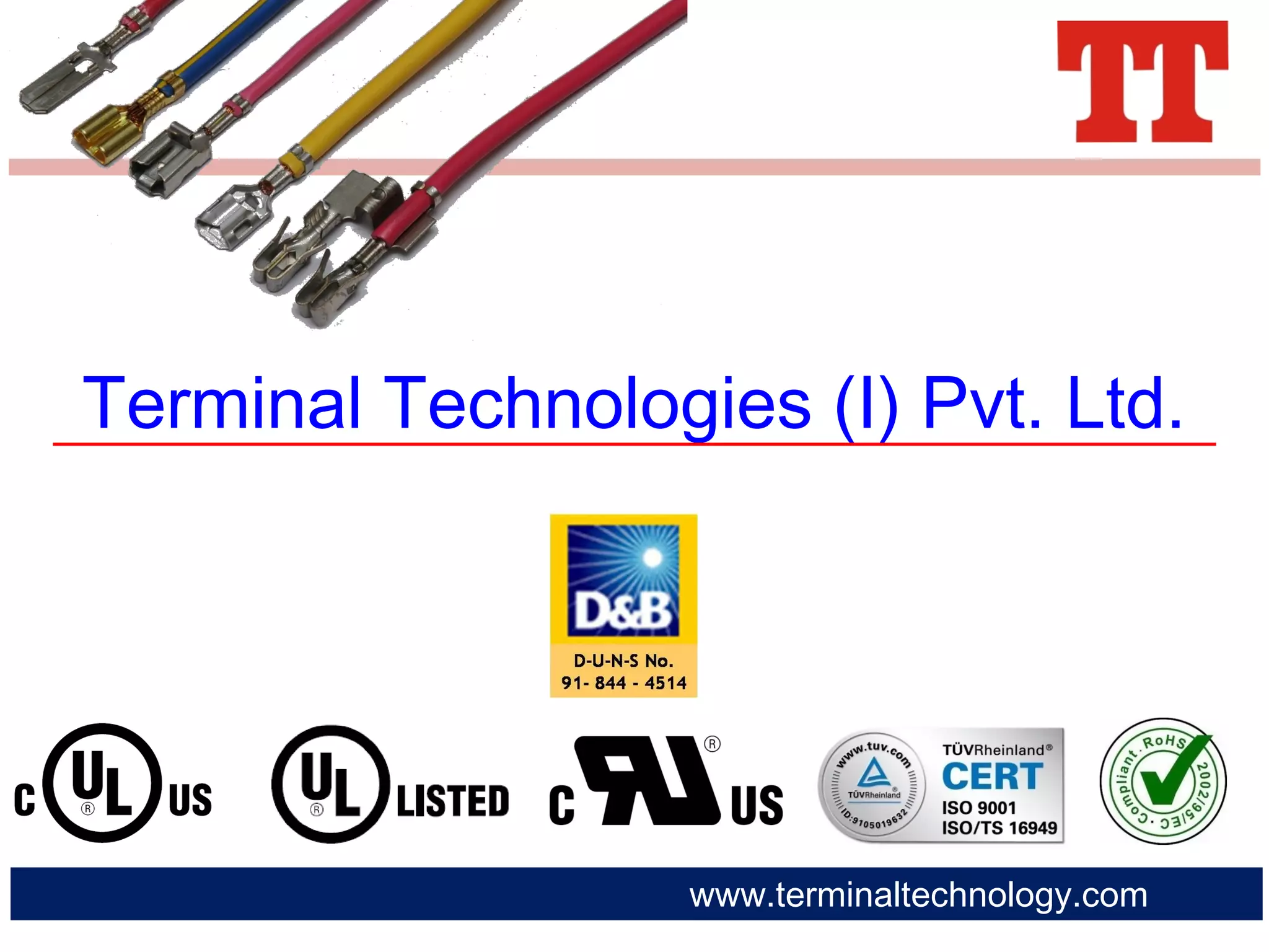 Tt company profile march 2012 | PPT