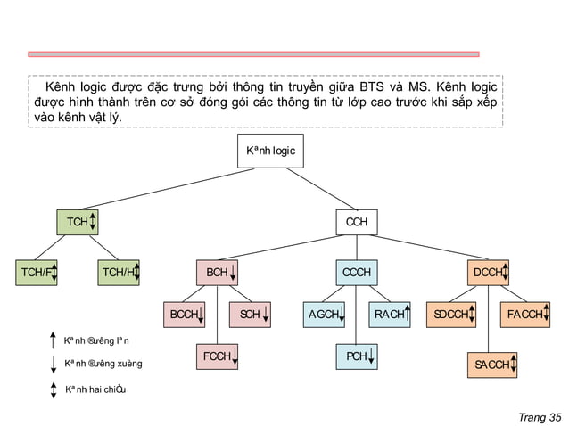 [TTDD] C3 letunghoa GSM.pdf