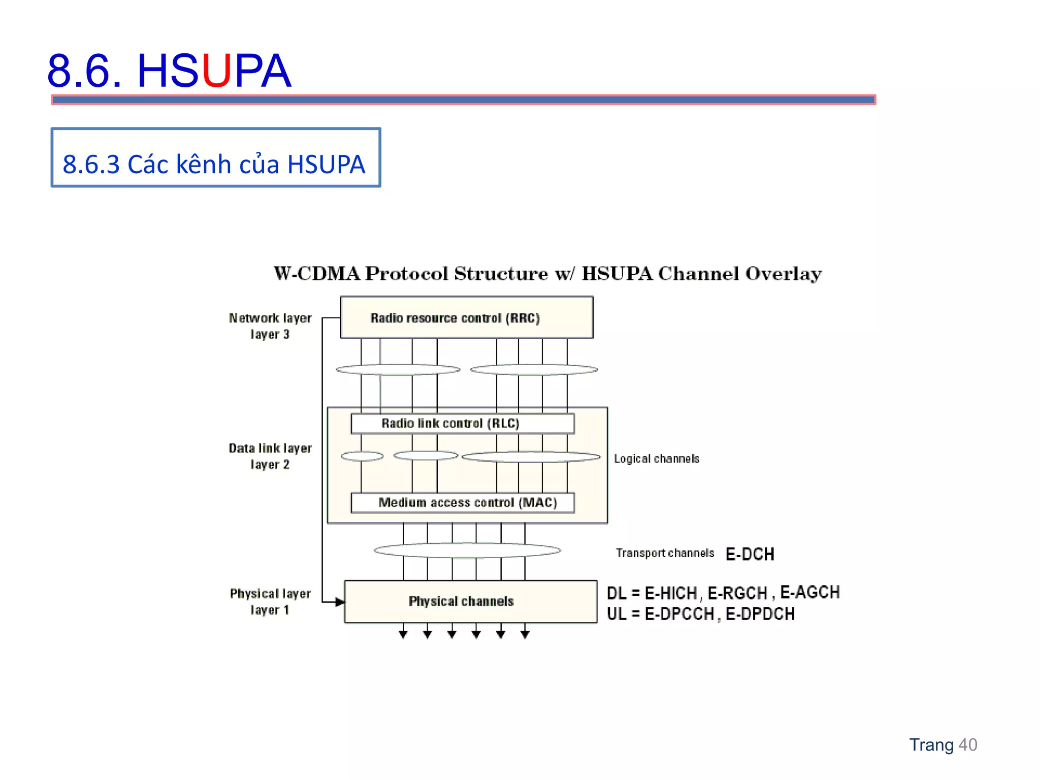 [TTDD] C8 letunghoa HSPA.pdf