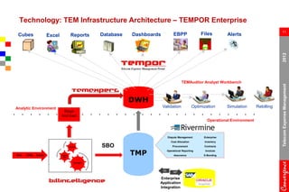 TEM presentation corporate english | PPT