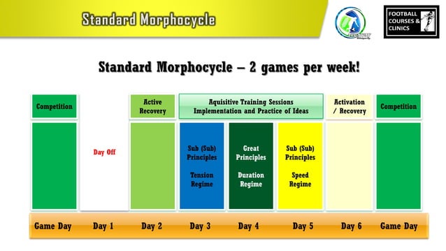 TECHNICAL - TACTICAL FOOTBALL PERIODIZATION | PDF