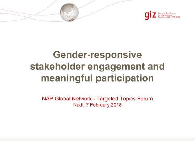 Gender-responsive stakeholder engagement and meaningful participation ...