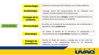 3_DIVISION_DE_LA_ECOLOGIA.pptx ECOLOGISMO | PPTX