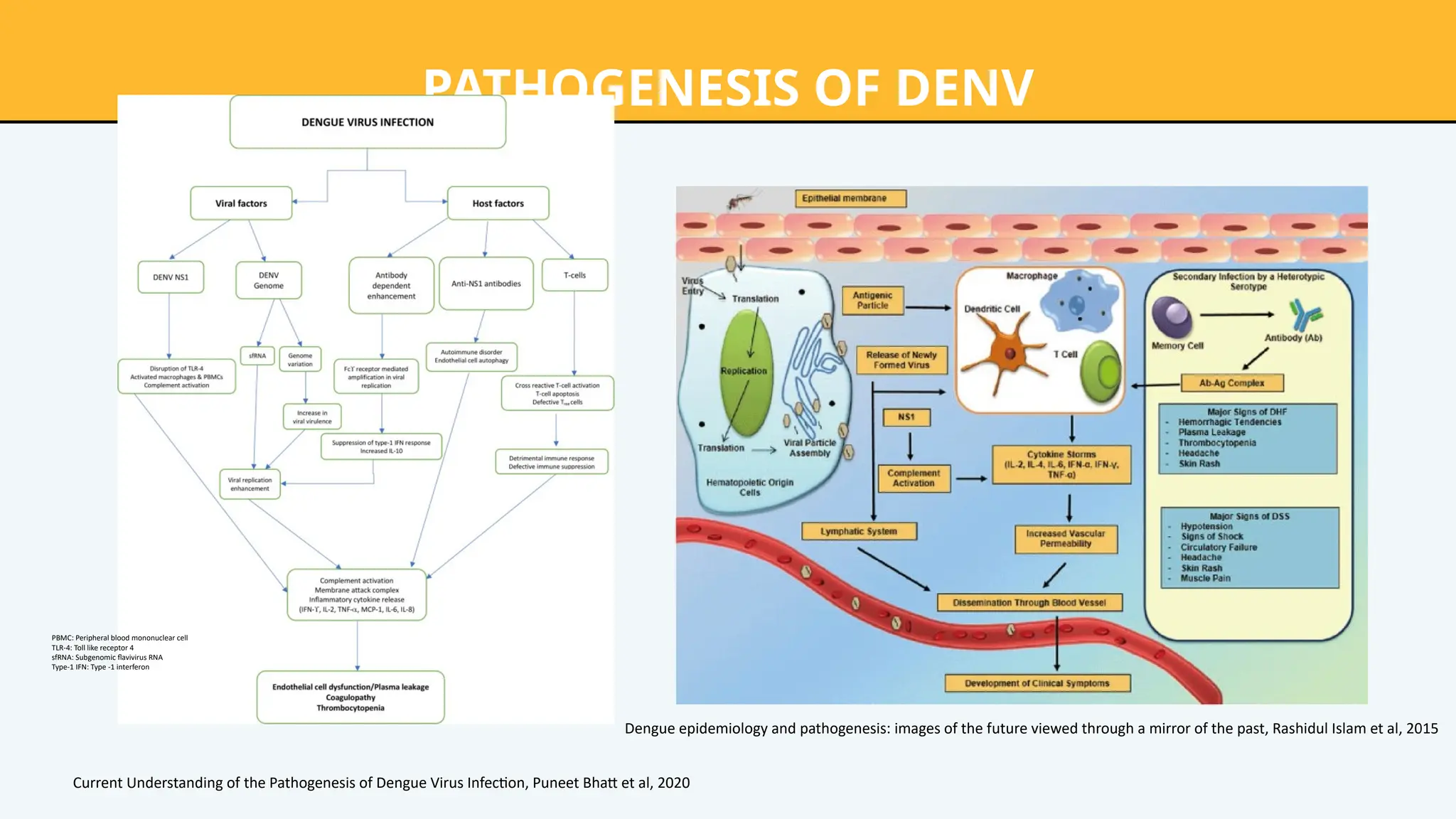 Transfusion Transmitted Infection Dengue .pptx