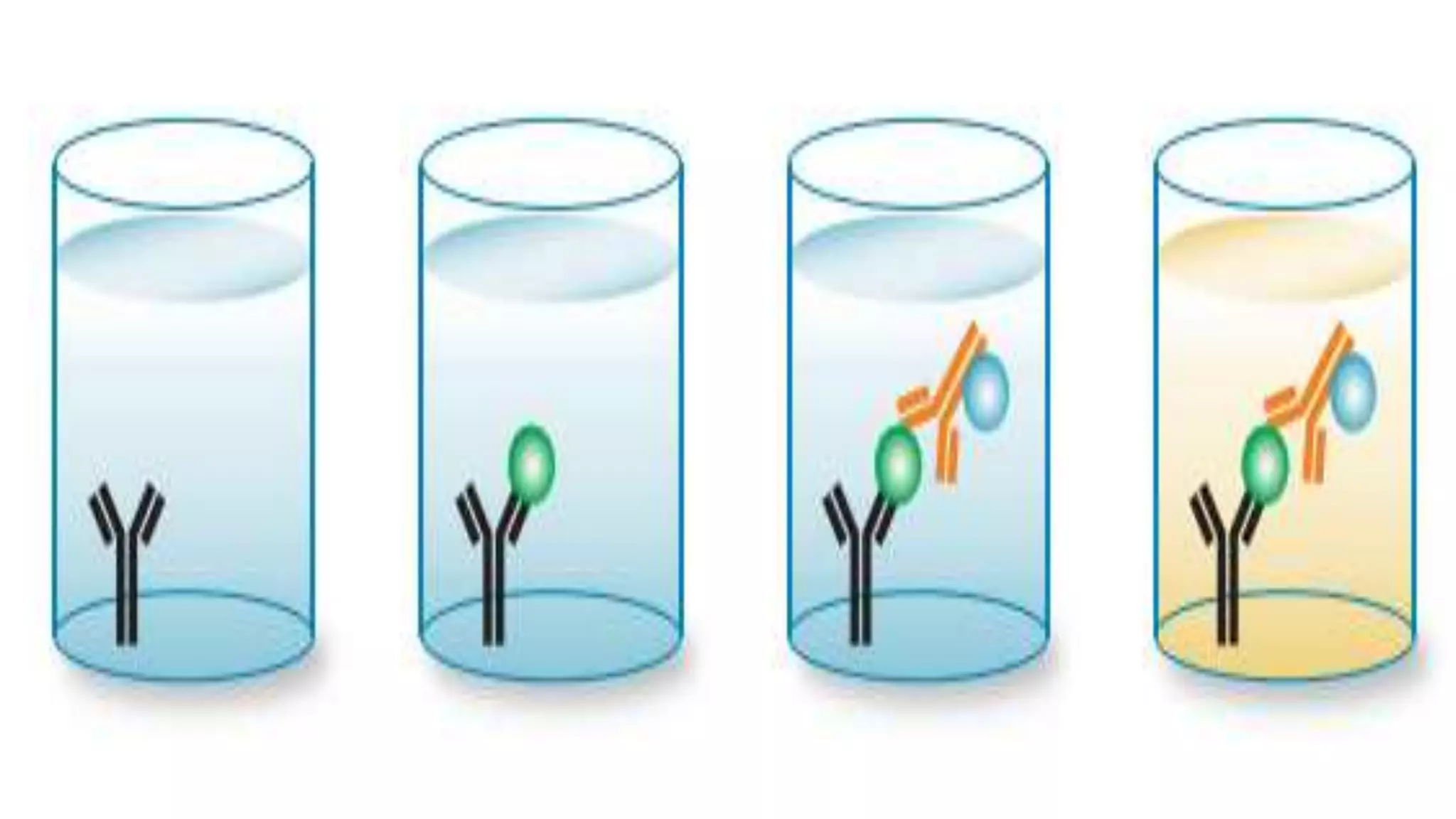 TTI screening testing methods.pptx