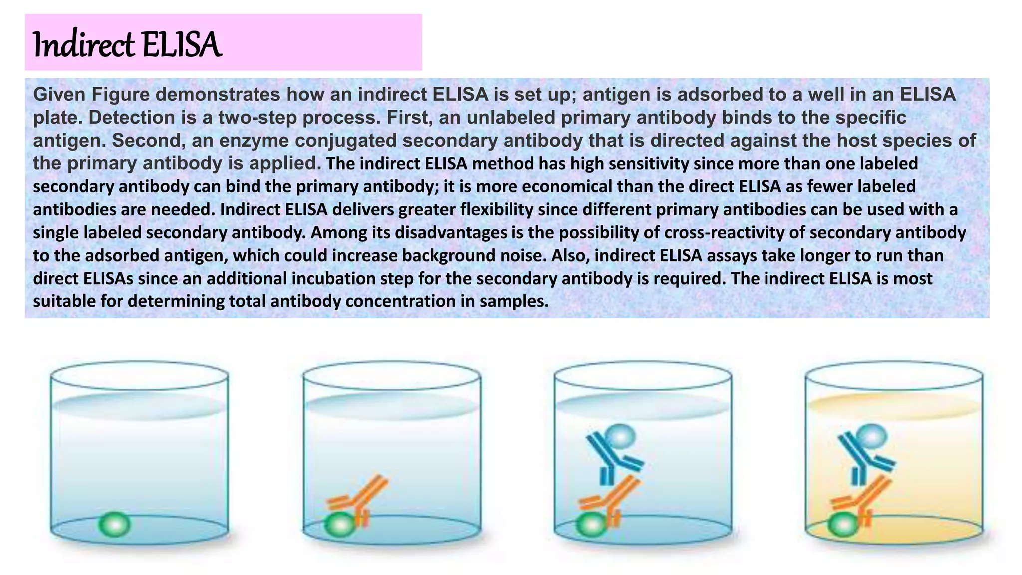 TTI screening testing methods.pptx