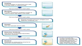 TTI screening testing methods.pptx