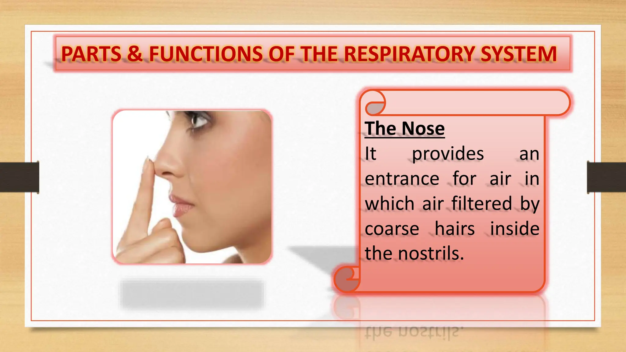 RESPIRATION SYSTEM.pptxThis is a presentation about the respiratory ...