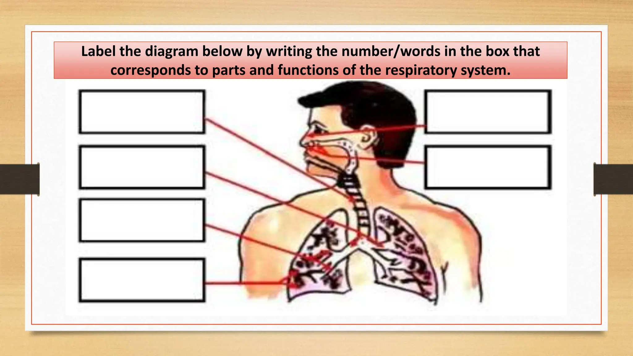 RESPIRATION SYSTEM.pptxThis is a presentation about the respiratory ...