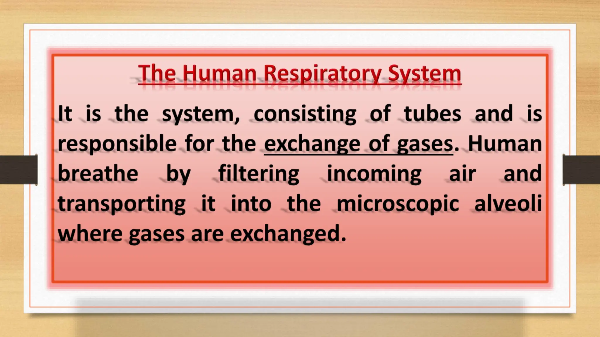 RESPIRATION SYSTEM.pptxThis is a presentation about the respiratory ...
