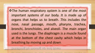 RESPIRATION SYSTEM.pptxThis is a presentation about the respiratory system. This includes its ...