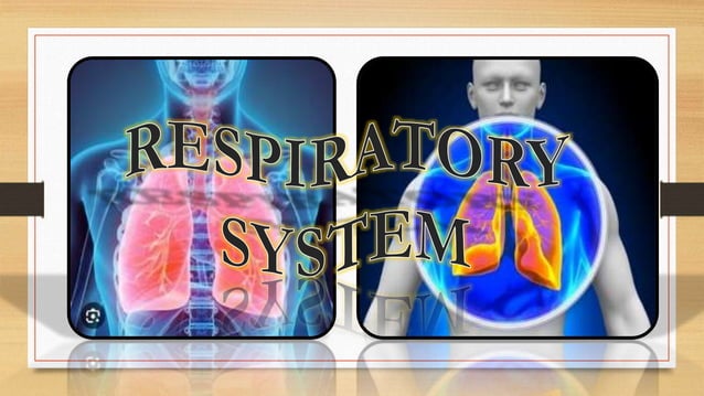 RESPIRATION SYSTEM.pptxThis is a presentation about the respiratory ...