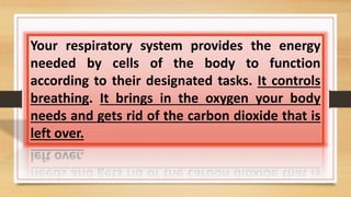 RESPIRATION SYSTEM.pptxThis is a presentation about the respiratory system. This includes its ...