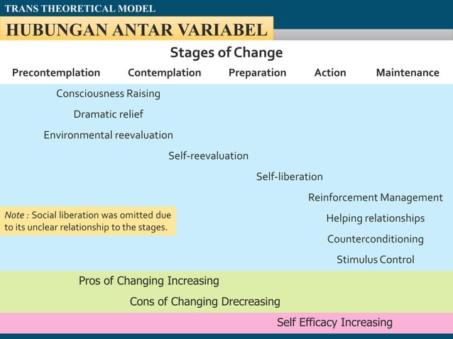 TRANS THEORICAL MODEL | PPT
