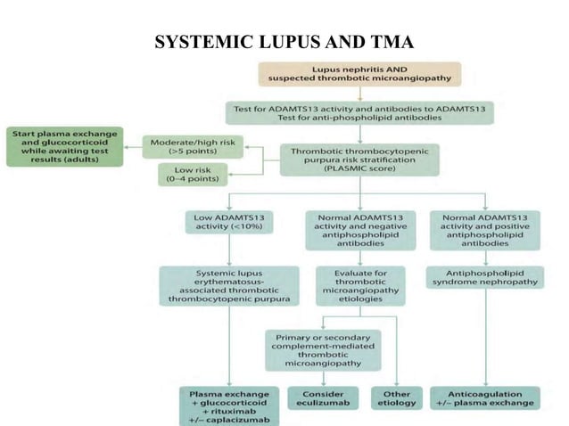 TTP.pptxNNNNNNNJJJJJJJJJJJJJJJJJJJJJJJJJJJJJJ | PPTX