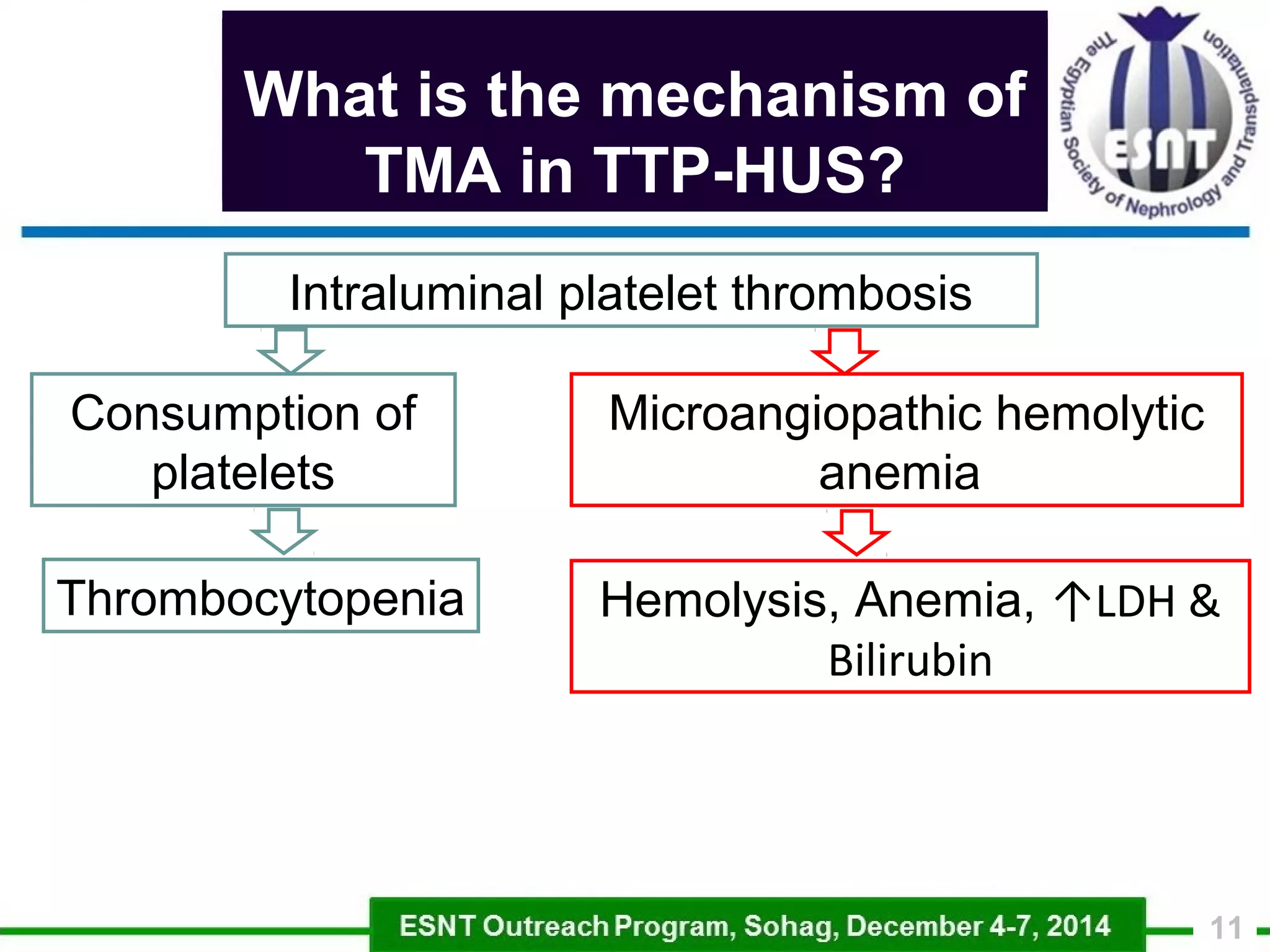 Thrombotic Thrombocytopenic Purpura / Hemolytic Uremic Syndrome ...