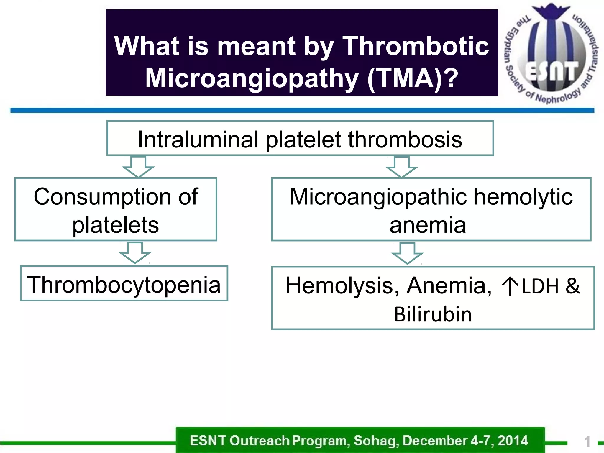 Thrombotic Thrombocytopenic Purpura / Hemolytic Uremic Syndrome ...