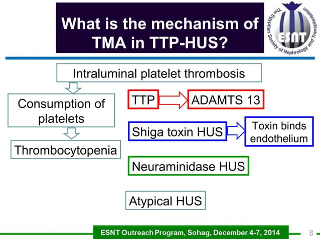 Thrombotic Thrombocytopenic Purpura / Hemolytic Uremic Syndrome (Questions & Answers) - Dr ...