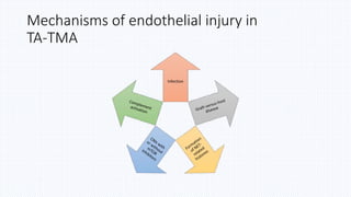 Thrombotic microangiopathy post Bone marrow transplant(TA-TMA) | PPT