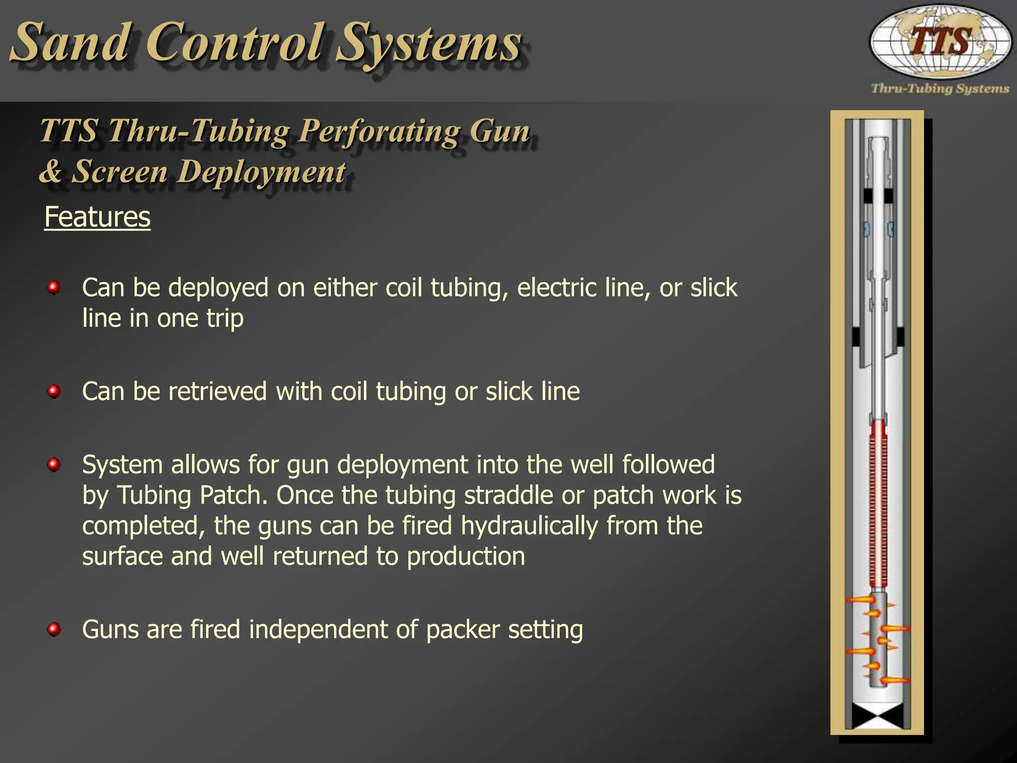 TTS-Gravel Pack System Showing Possibility of installation & pumping ...