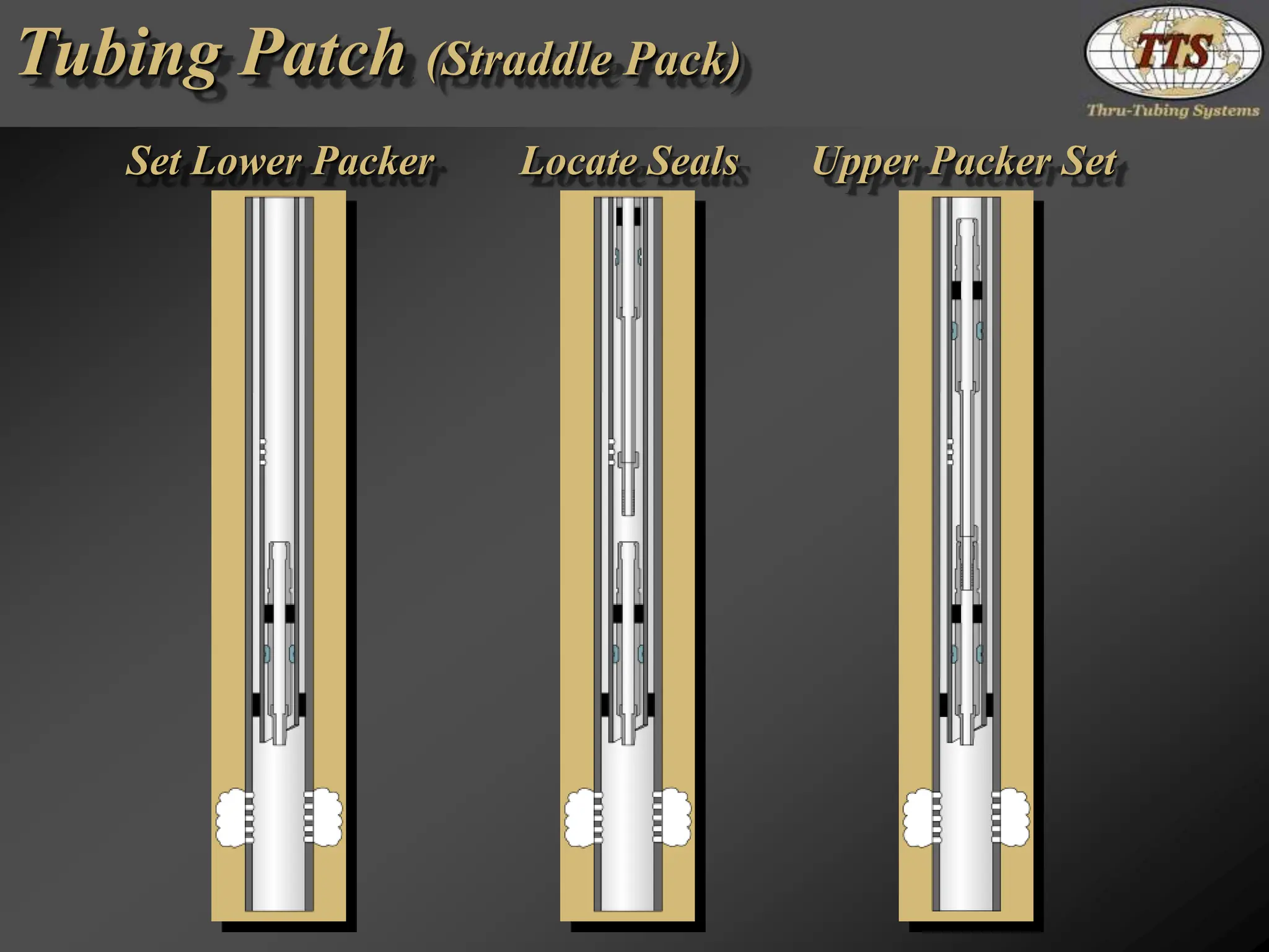 TTS-Gravel Pack System Showing Possibility of installation & pumping ...