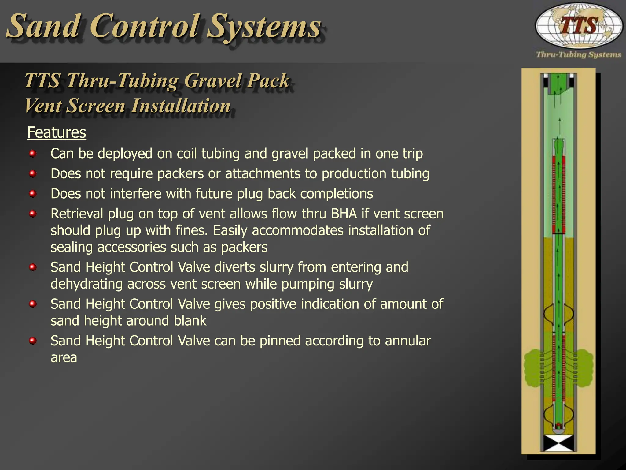 TTS-Gravel Pack System Showing Possibility of installation & pumping ...