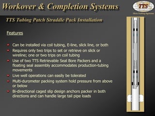 TTS-Gravel Pack System Showing Possibility of installation & pumping ...