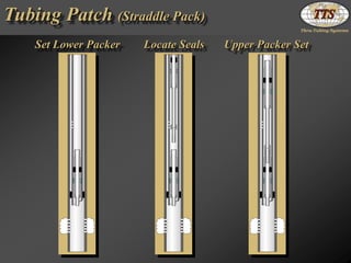 TTS-Gravel Pack System Showing Possibility of installation & pumping ...
