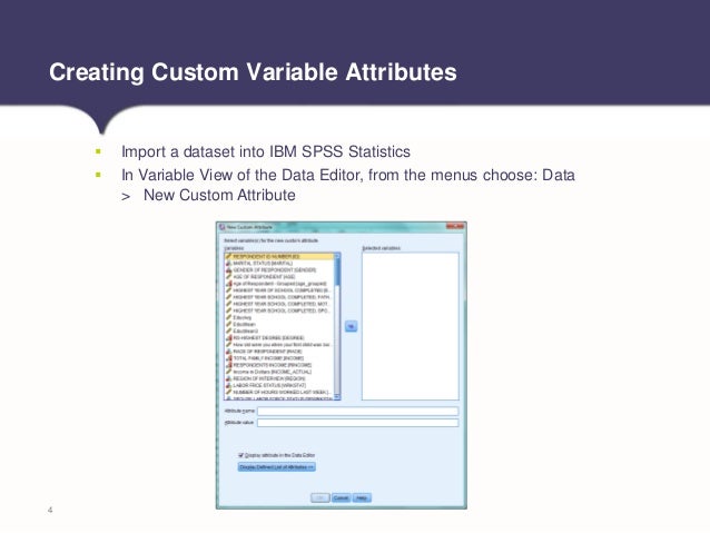 Tech Tip Custom Attributes For Variables In Ibm Spss Statistics