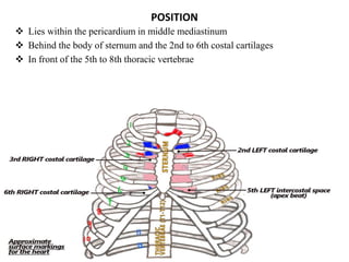 Anatomy of heart dr nikunj shekhada (mbbs,ms gen surg ,dnb cts SR) 11 6 ...