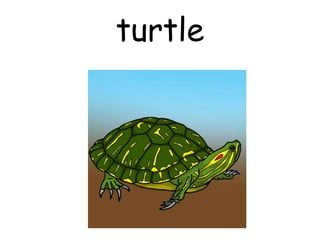 Tt Slideshow | PPTX