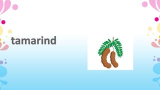 Tt sound and syllables | PPT