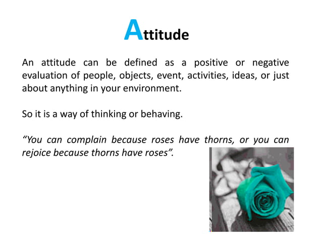 Train the trainer | PDF